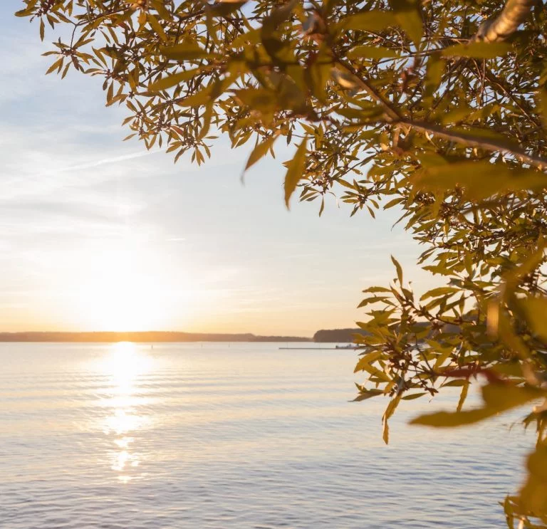 Best Car Insurance Rates in South Carolina for 2023